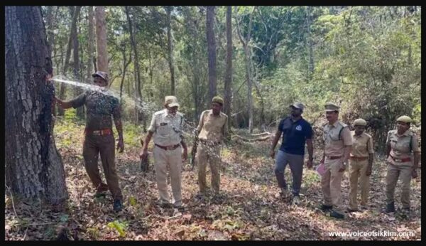 Secrets Unveiled: Konda Reddi Tribe Reveals Enigmatic 'Water-Producing Tree' - The Voice Of Sikkim